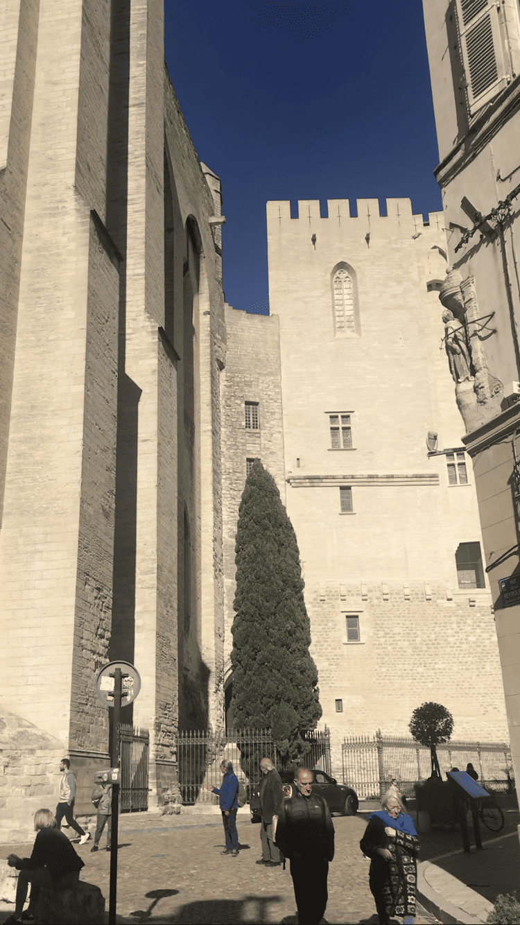 Is Avignon Worth Visiting? Who Should Visit, Why, and Quick Guide ...